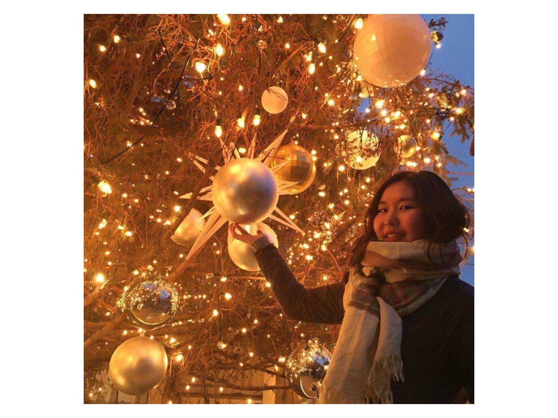 Team – Schumer lab